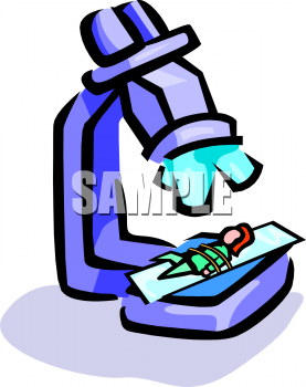 Royalty Free Microscope Clip art, Science Clipart